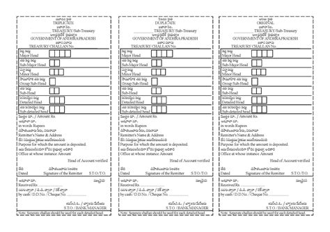 VALLAMPATI RAJA AP Treasury Challan Form