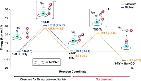Dft Calculated Reaction Coordinate Diagram For The Conversion Of 1 M To