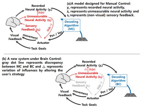 Conceptual Illustration Of Decoder Model For Both A Manual Control Download Scientific
