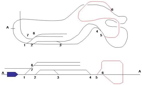 Diagram Dcc Reverse Loop Wiring Diagrams Mydiagramonline