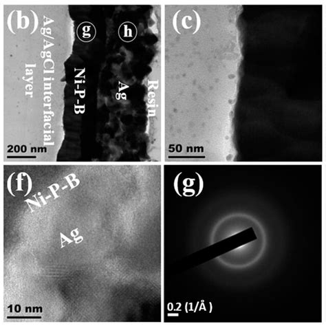 Cross Sectional Tem Imaging Of Psa Ni Ag A F Bright Field Images And Download Scientific
