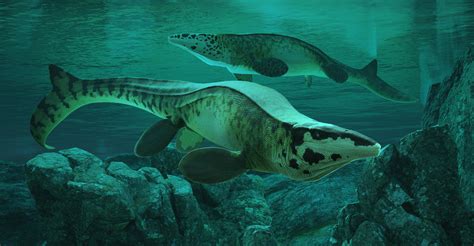 Scoperto Un Nuovo Predatore Del Cretaceo Non è Il T Rex Che Conosci