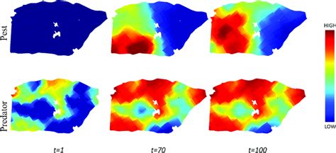 Snapshots Of Pest And Predator Spatial Dynamics Simulation Of