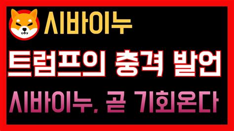 💎시바이누💎 긴급 트럼프 충격 발언 Youtube