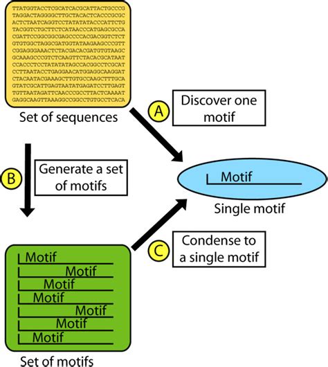 major focuses in motif finding research the problems of discovering a