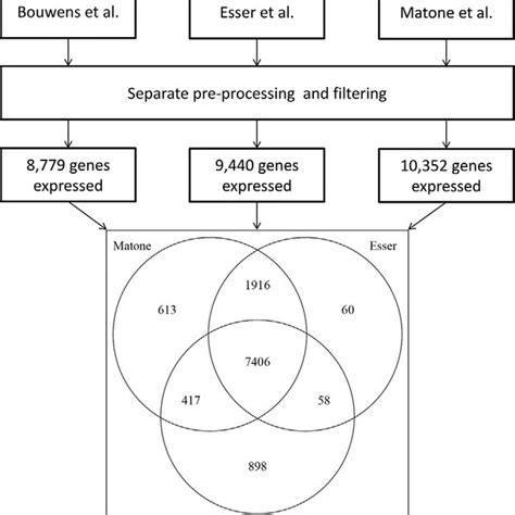 Gene Selection Workflow Download Scientific Diagram