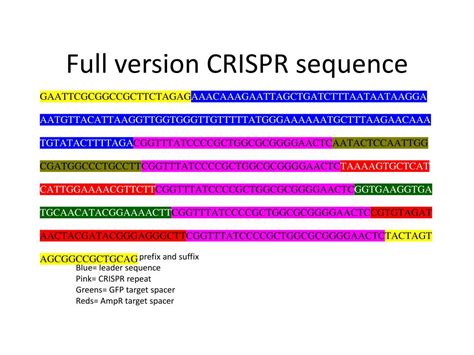 Ppt Crispr Powerpoint Presentation Free Download Id 3435395