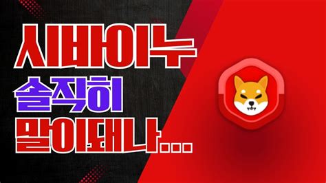 시바이누 솔직히 이건아니잖아 살려줘라시바이누코인추천 Youtube