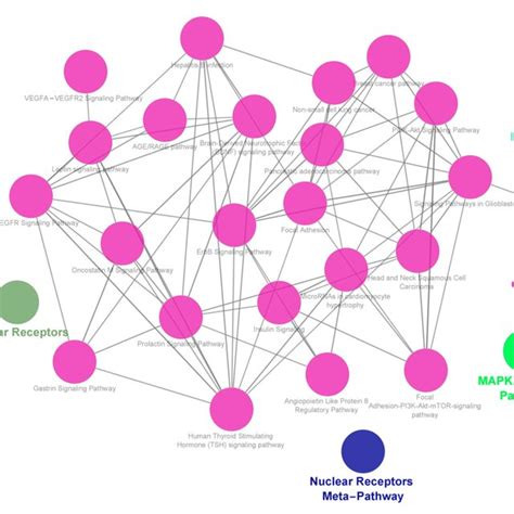 A Reactome Pathway Enrichment Analysis Of 56 Overlapped Genes B