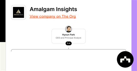 Amalgam Insights The Org