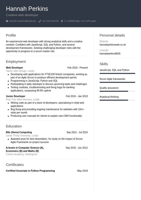 Web Developer CV Example Jobseeker