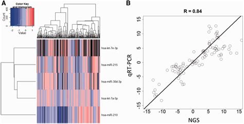 Mirna Expression A The Heatmap Visualization For The Expression Of