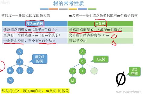 数据结构王道数据结构之 树 CSDN博客