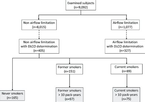 Flow Chart Of Study Participants DLCO Diffusing Capacity Of The Lungs Download Scientific