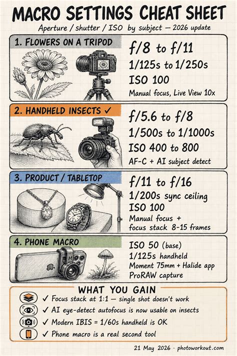 The Best Macro Photography Settings For Stunning Close Up Shots
