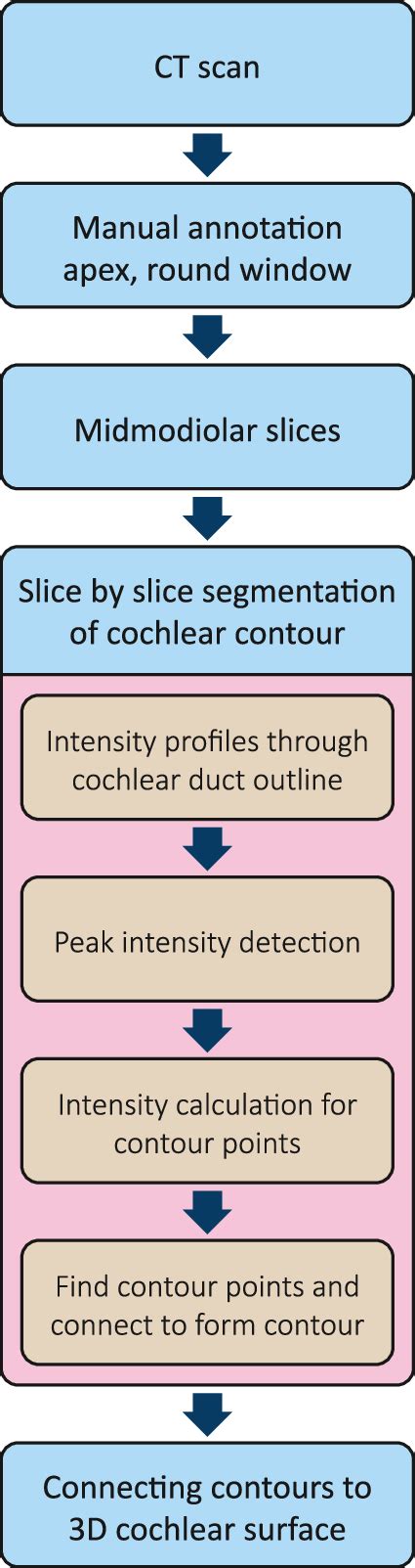 Flow Diagram Of The Segmentation Algorithm Download Scientific Diagram