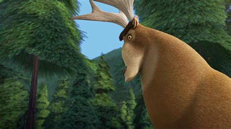 Open Season Scared Silly Screencap Fancaps