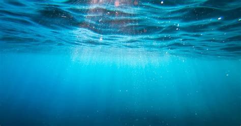 Deep Dive Into Packagejson Scripts Rprogramming