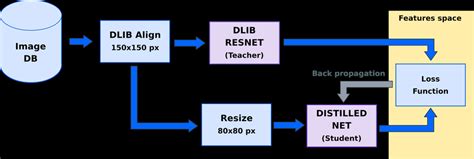 Proposed System With Dlib Resnet As Teacher And Distilled Network As Download Scientific