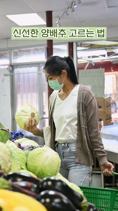 신선한 양배추 고르는 방법 5가지 Youtube