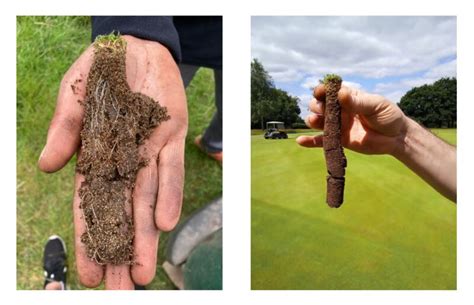 Maxstim Ltd On Linkedin Turf Turfmanagement Biostimulants Rootmass Amenities Golfclub