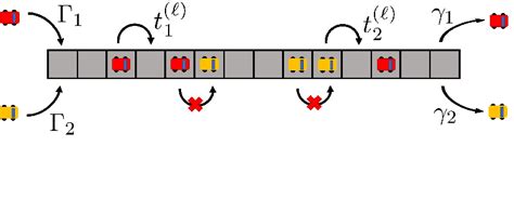 pictorial representation of the two species tasep model two different
