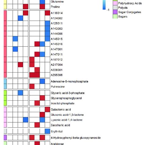 Heatmap Of Significant Spearman′s Rank Correlations P