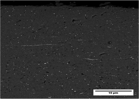 Sem Cross Section Of The Composite Sample After The Fourth Cycle Download Scientific Diagram