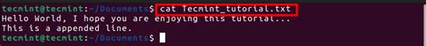 How To Use The Cat Command In Linux 22 Useful Examples Hosting Mate