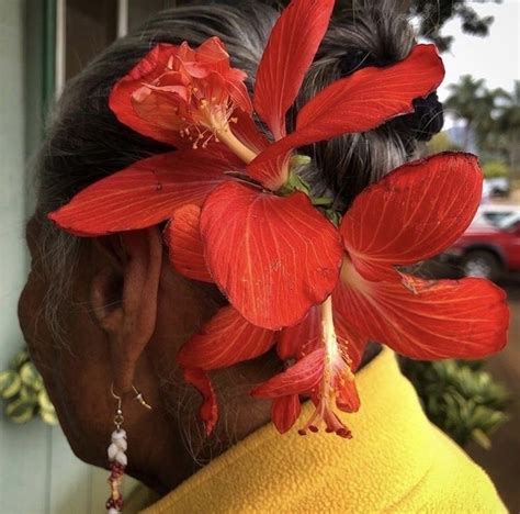 Flower Icons On Tumblr