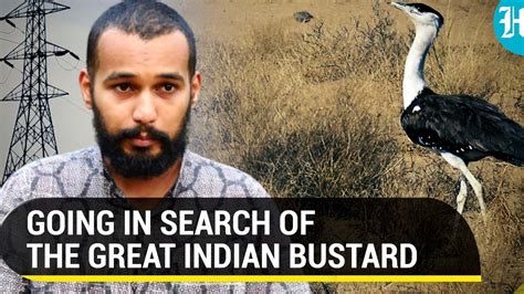 Wildlife Filmmaker Pradeep Hegde Recalls Encounters With Great Indian