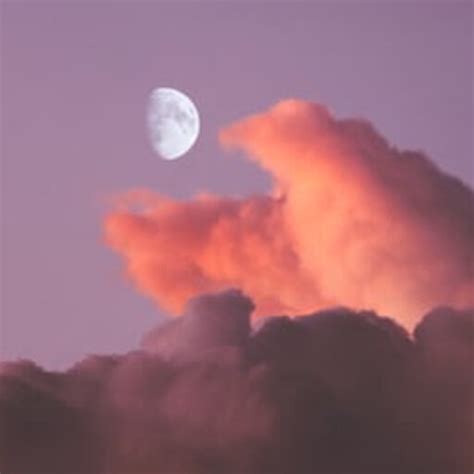 Ya Wang Research Profile