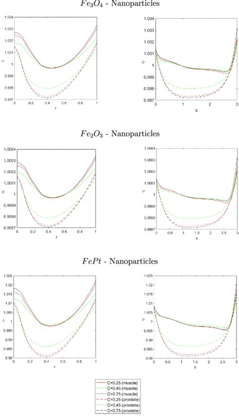 Concentration Plots For Different Values Of C Download Scientific