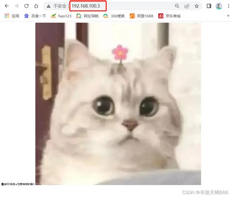 docker之consul部署 consul docker csdn博客