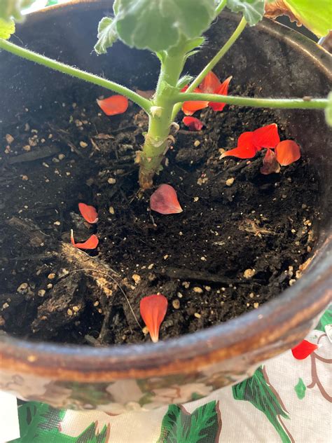 Not Sure R Groundedgame