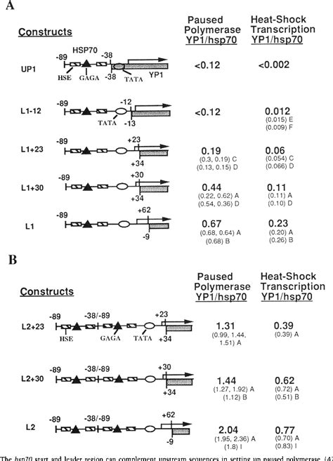 Figure 3 From Dna Sequence Requirements For Generating Paused
