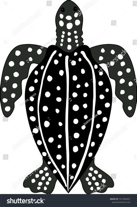 Simple Vector Clipart Leatherback Sea Turtle Stock Vector Royalty Free 1912966951 Shutterstock