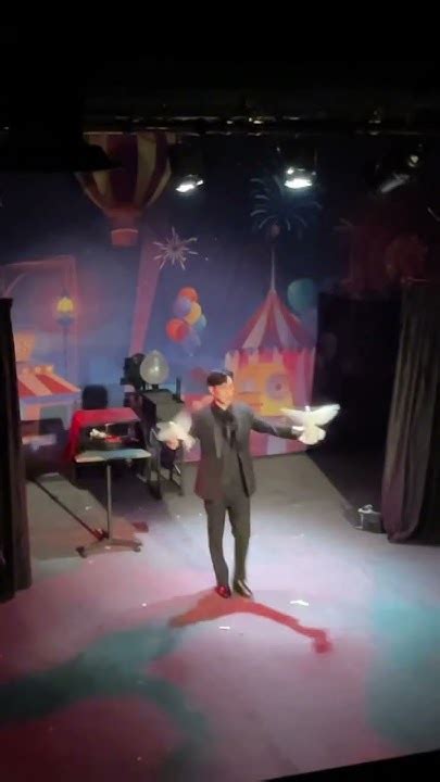 비둘기 나오는 마술 Youtube