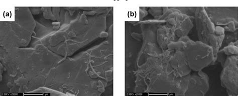 Figure 1 From High Temperature Creep Properties Of Tatb Based Polymer Bonded Explosives Filled