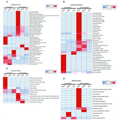 Functional Enrichment Based Clustering Analyses Of Differentially