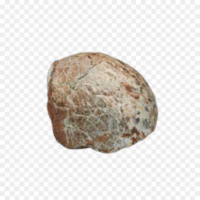 Egg Off Dinosaur PNG Clip Art INJXN03G Pngsource