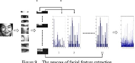 Figure 9 From Facial Expression Recognition Based On Specific Regions Wavelet Decomposition