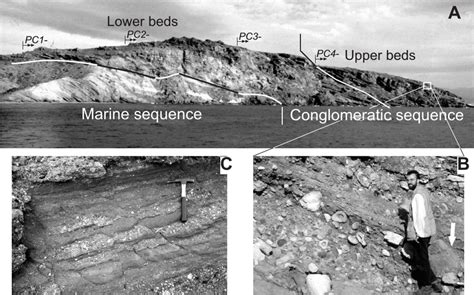Sampled Blocks Of The Tectono Sedimentary Unit Tsu Location In