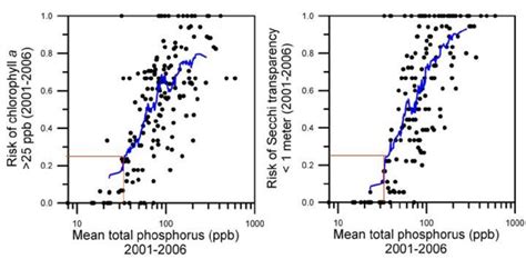 Risk Of Chl A Exceeding 25 Ppb And Secchi Depth