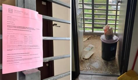 Tenant From Hell Owes Months Rent Leaves Behind Trash And Sex Doll In Kajang Condo TRP