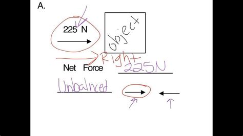 Calculating Net Forces Worksheet Answer Key Printable Word Searches