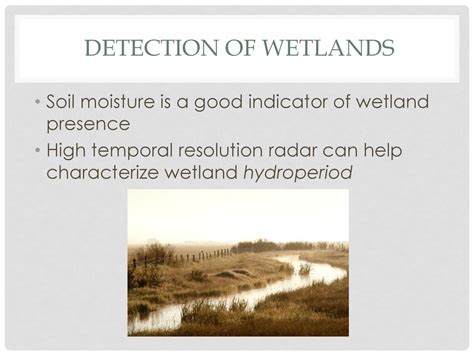 Using Radar For Wetland Mapping Ppt Download