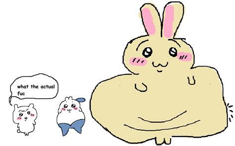 Fat Usagi In 2025 Aquarel