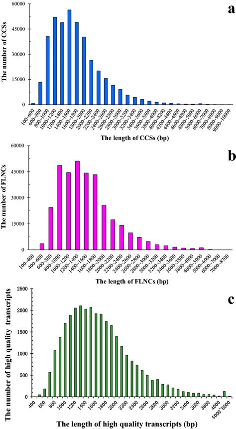Smrt Sequencing Of P Catalpifolia Leaf Transcriptomes A Length