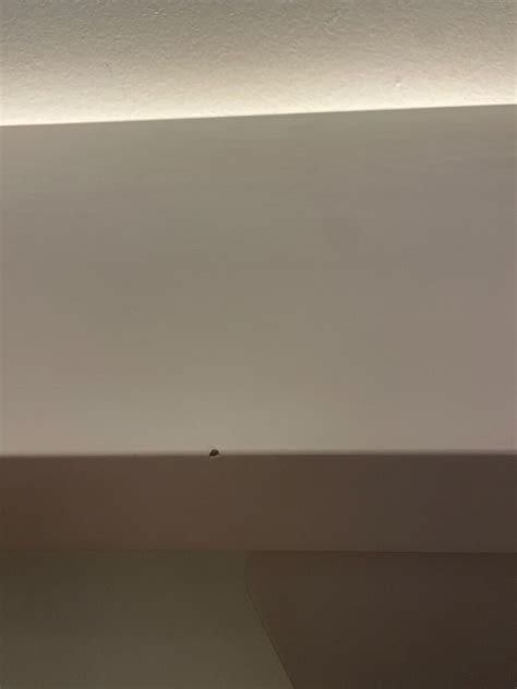 Contemporary Floating Lightning Console Wood For Sale At 1stdibs